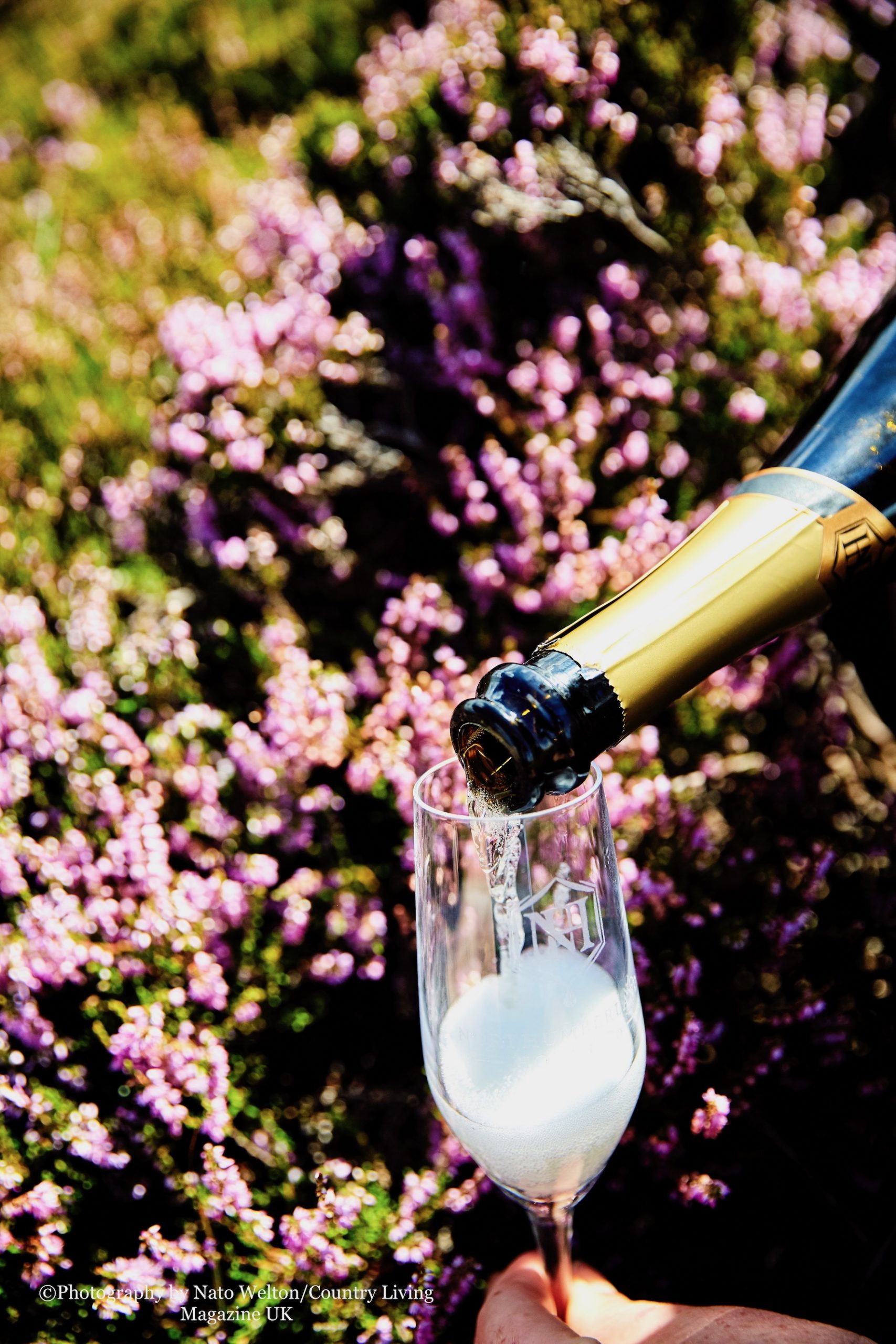 What is Mead | What is Mead Made From | History of Mead