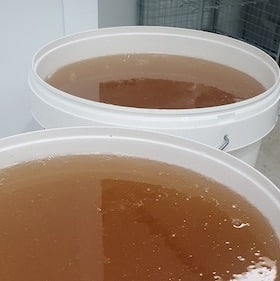 Spring Wildflower Honey Bulk Bucket - Northumberland Honey Co